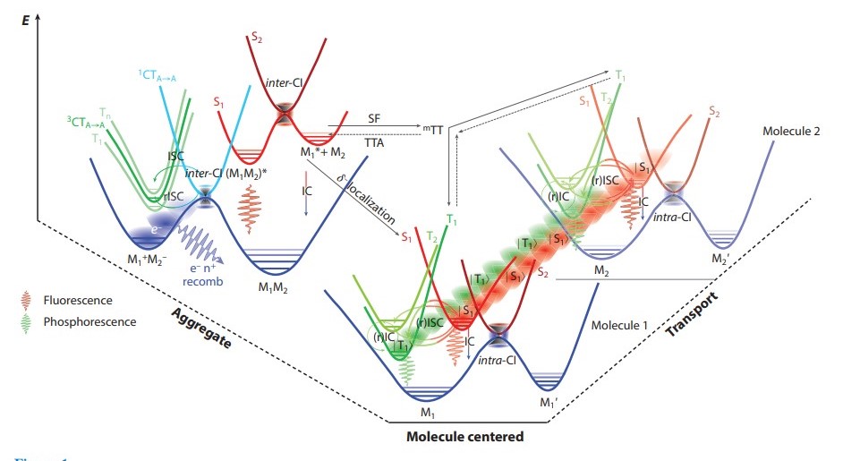 Modeling Excited States of Molecular Organic Aggregates for ...